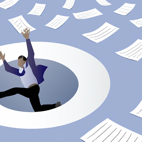 Risks & Issues - Kiplot